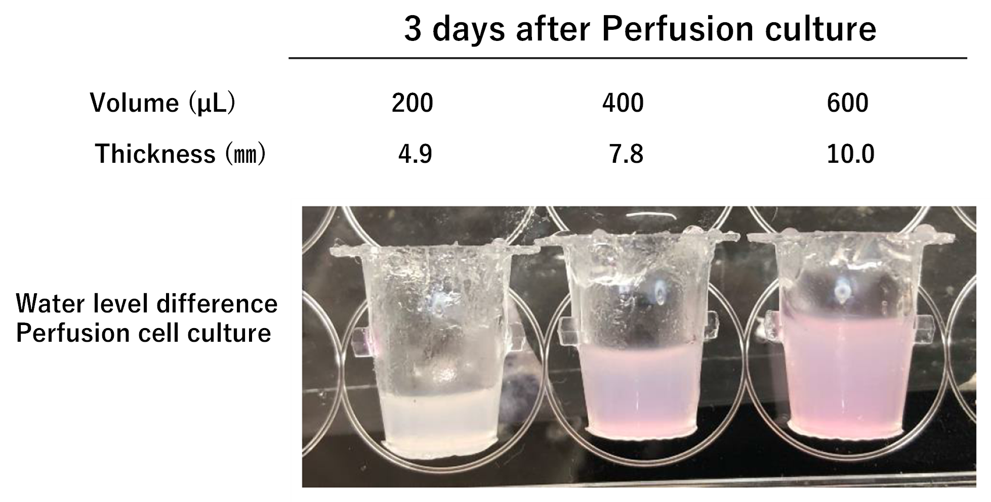 3D perfusion culture system with water-level difference for high ...