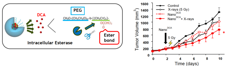 Radiosensitizer for Cancer Therapy - Bionauts